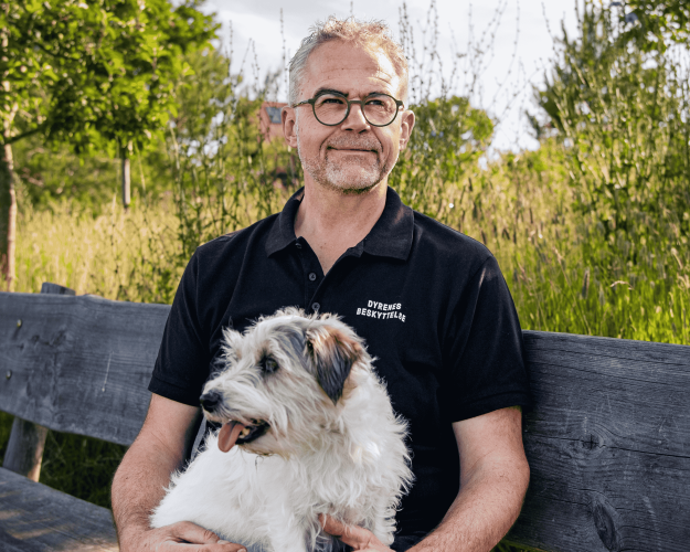 Portræt af den danske ulv | Dyrenes Beskyttelse